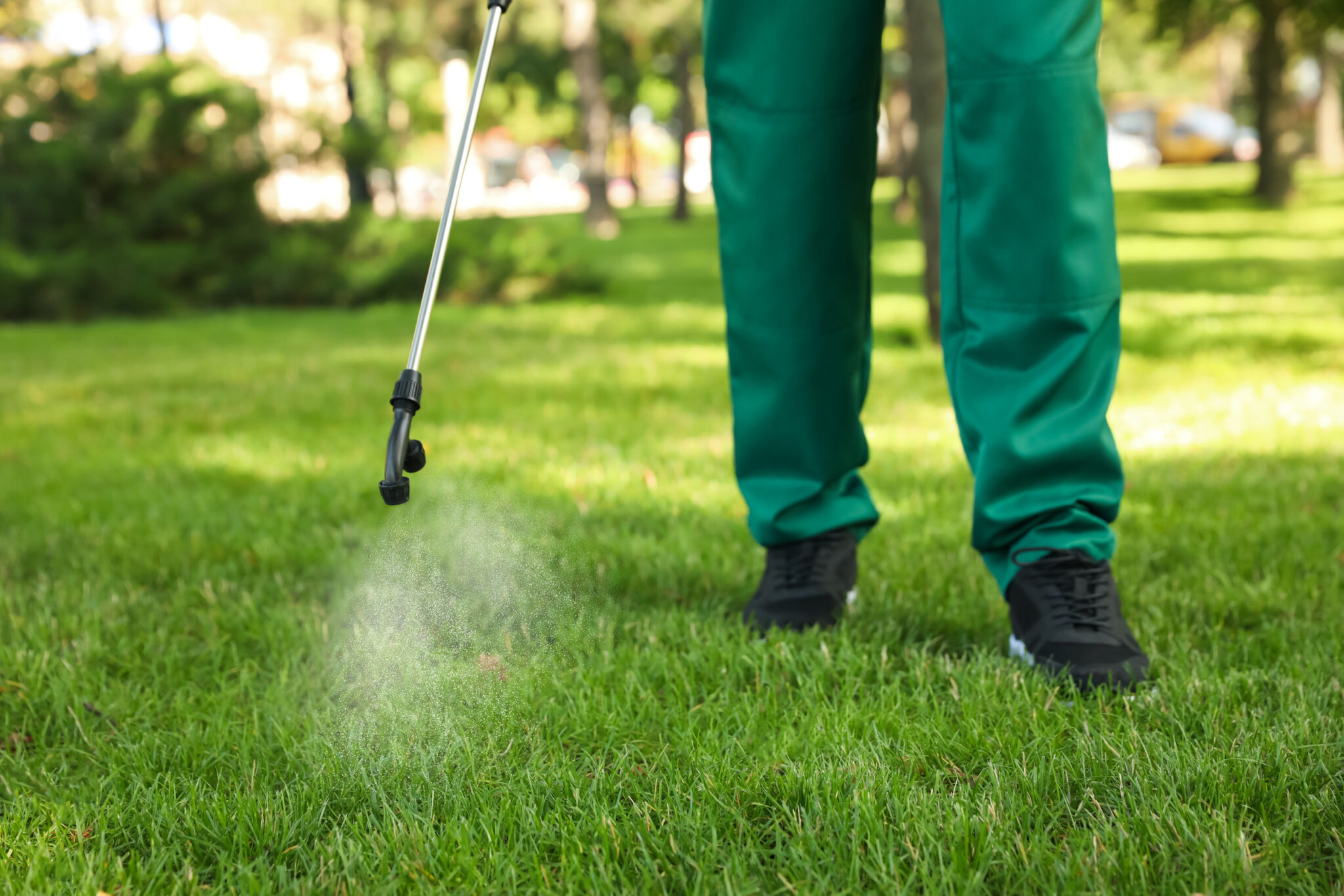 Lawn Treatments and Mosquito Control – Pronto Pest Service